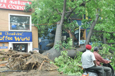 MYLAPORE TIMES - Monsoon sets in, streets flood, trees collapse
