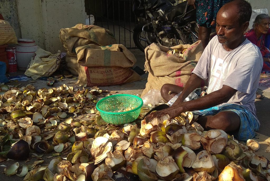 MYLAPORE TIMES - Nungu has arrived