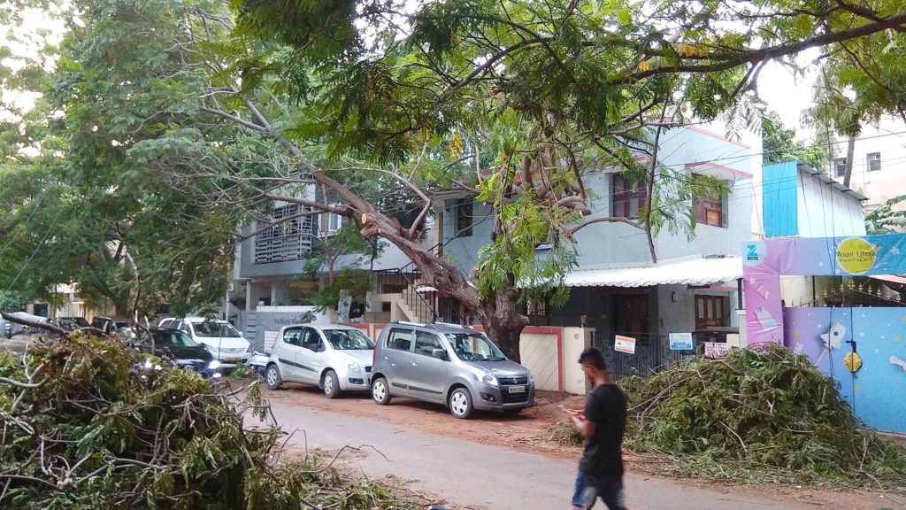 MYLAPORE TIMES - Hanging logs and cables pose a danger to the residents ...