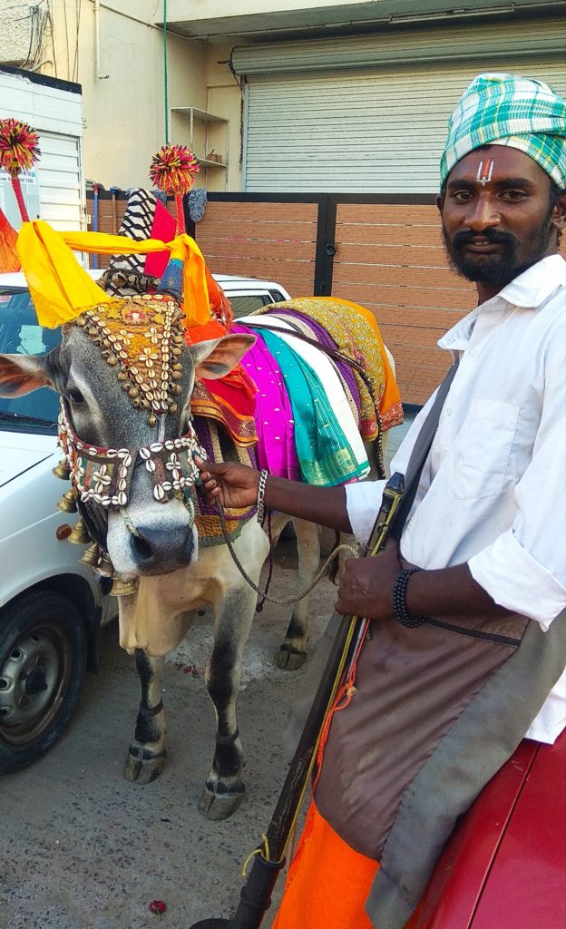 MYLAPORE TIMES - 'Boom boom maadu' and the fortune teller