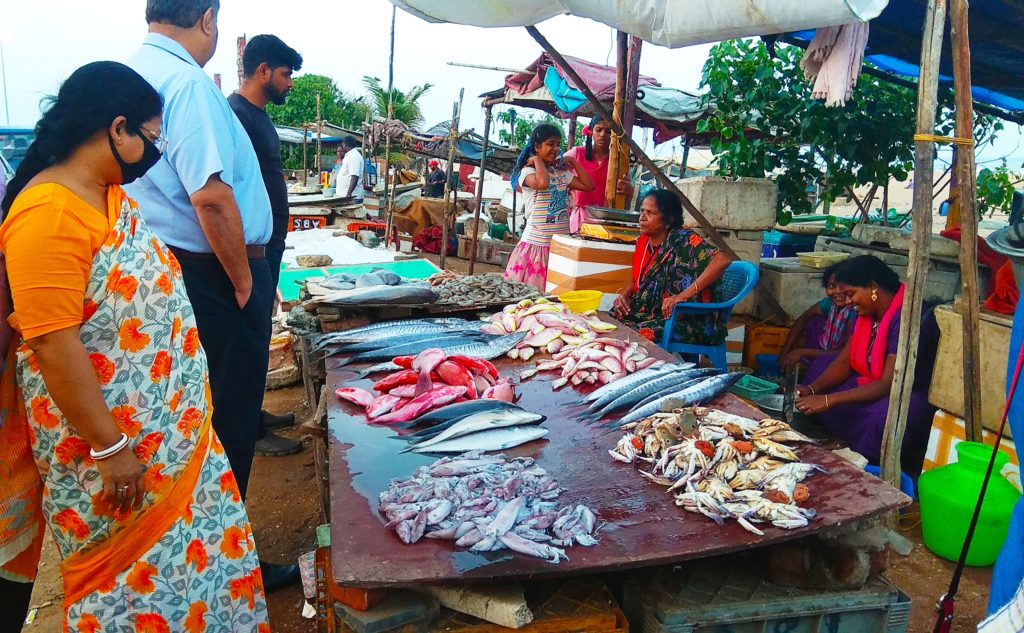 MYLAPORE TIMES - Chennai Corporation and Fisheries dept. to carry out ...